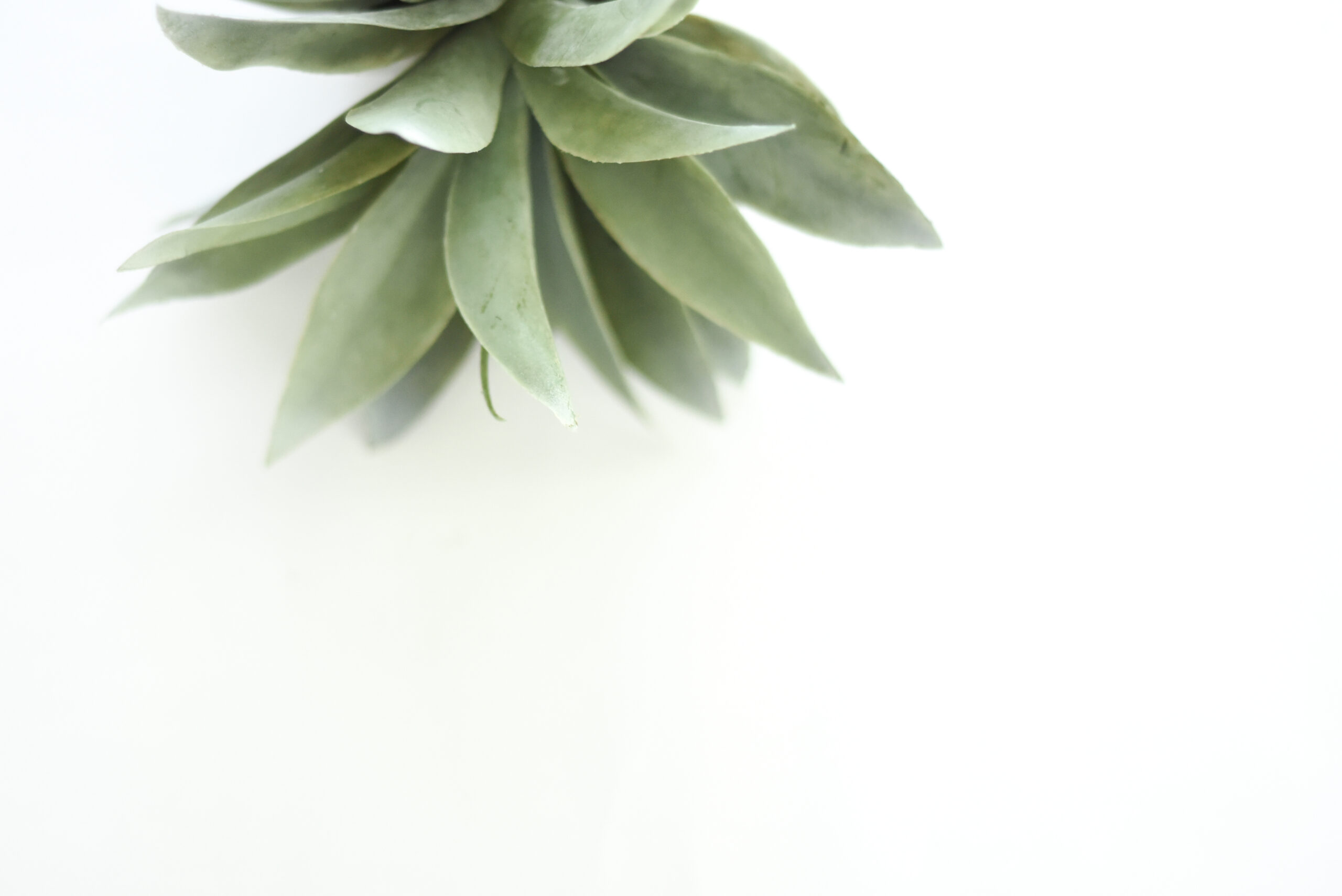 Spring Clean Your Financial Life - Whitney Hansen | Money Coaching
